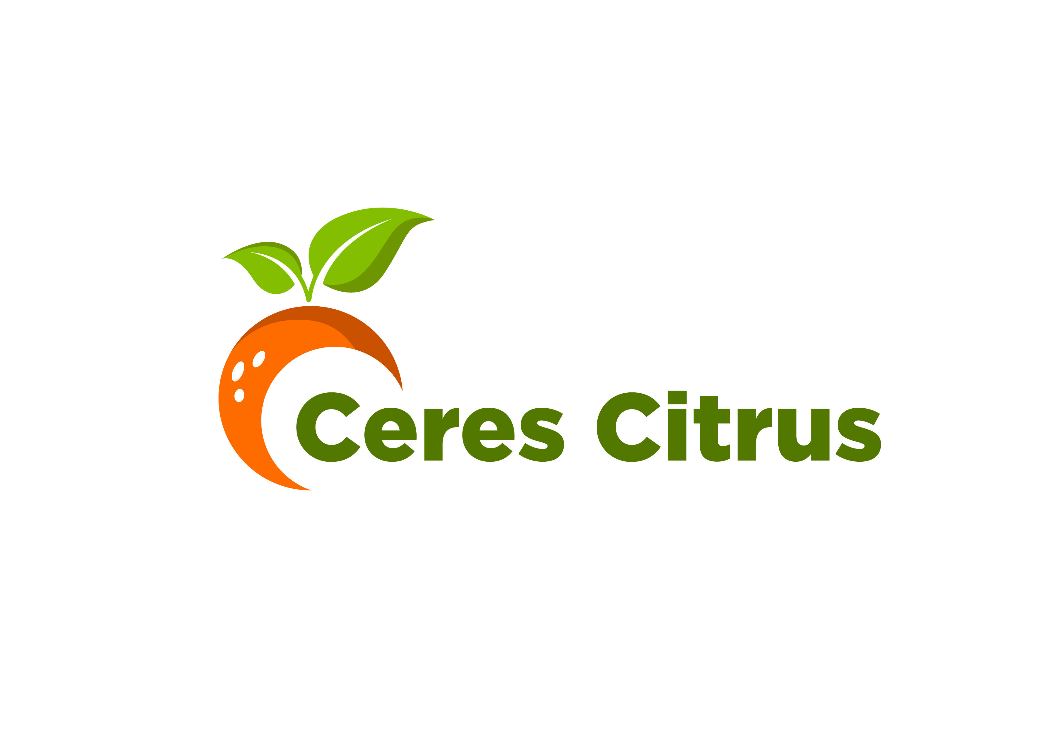 Home [www.gvcustomsoftware.com.au]